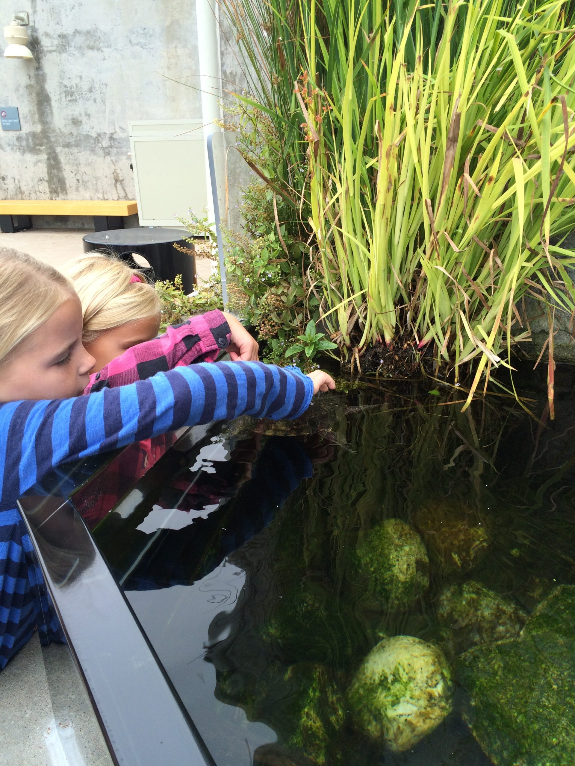 Frequently Asked Questions – Explorer Field Trips