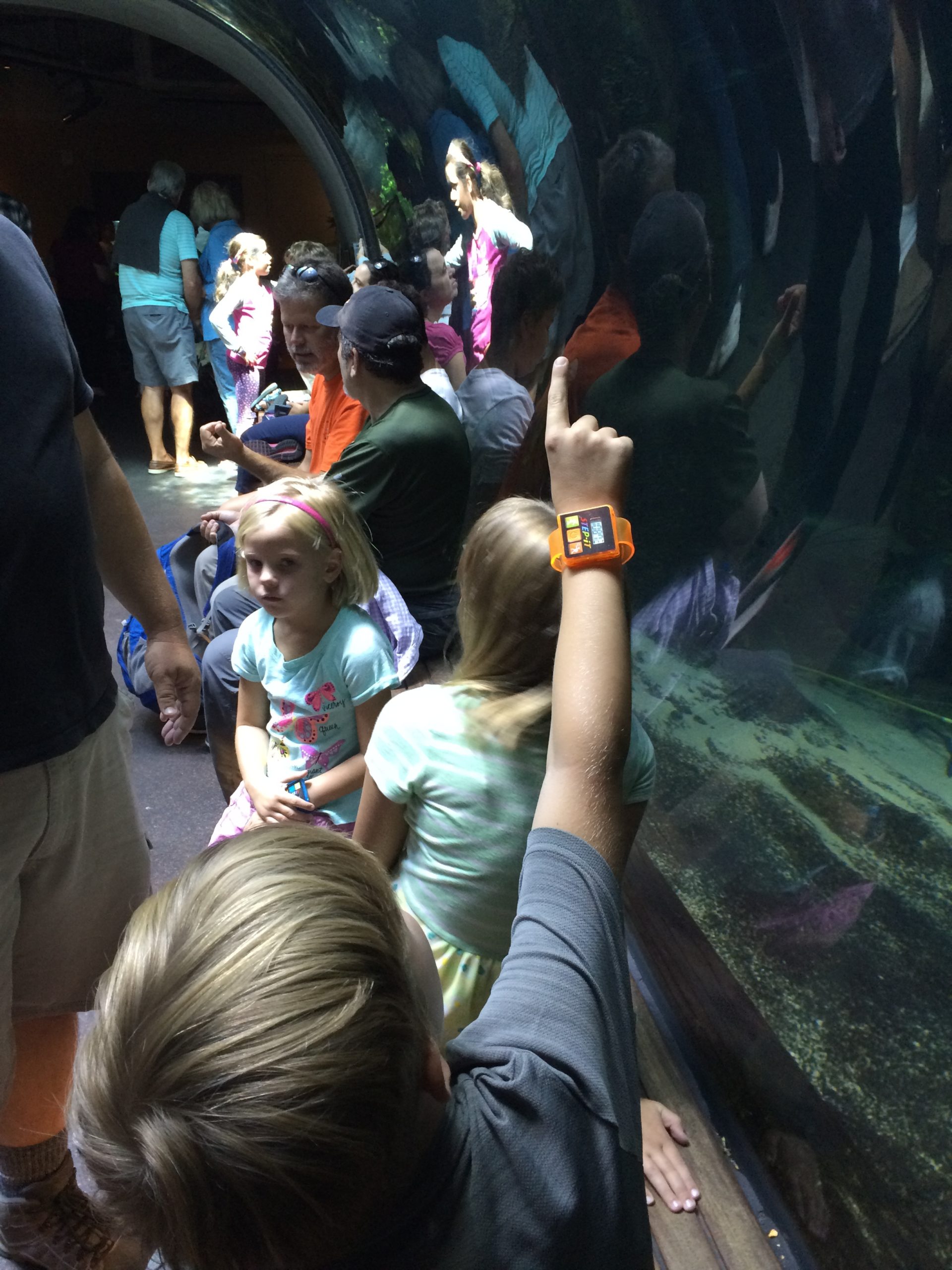 Frequently Asked Questions – Explorer Field Trips