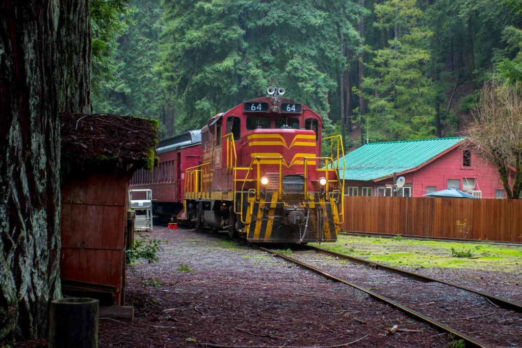 Wolf Tree Turn Skunk Train – Explorer Field Trips