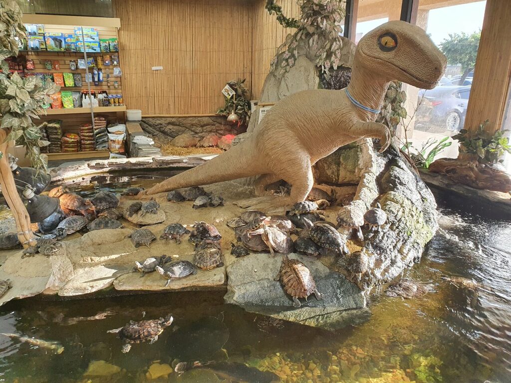 The Reptile Zoo – Explorer Field Trips